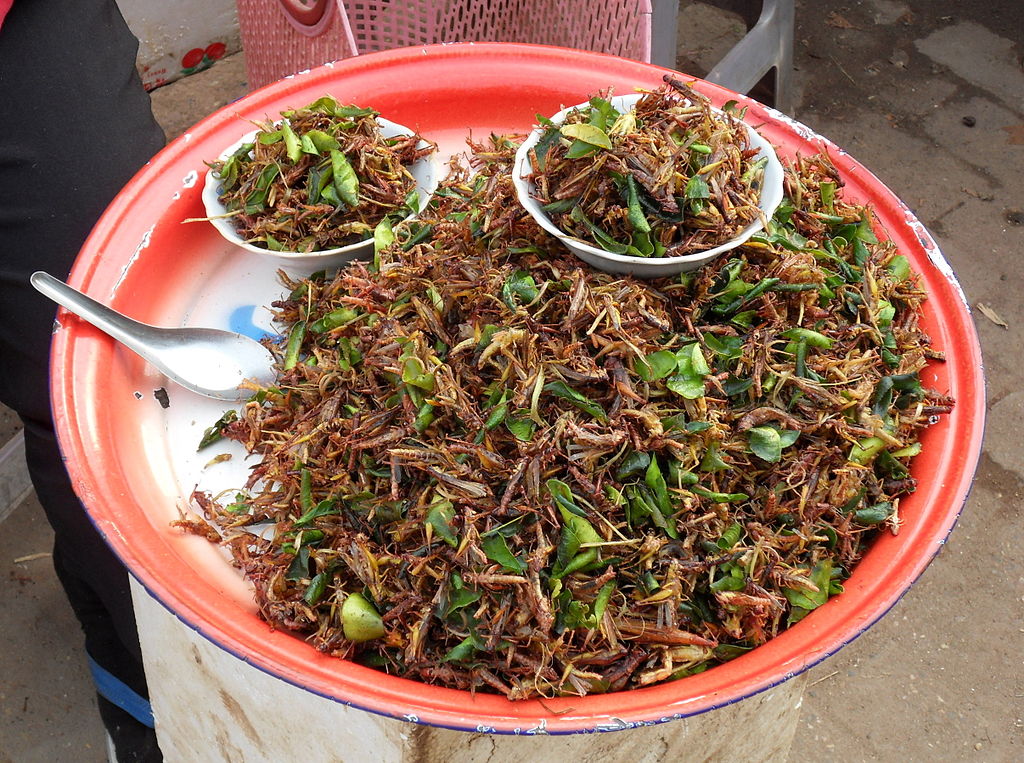 DEIP - Design Edible Insect Products - RFI Ouest Industries Créatives